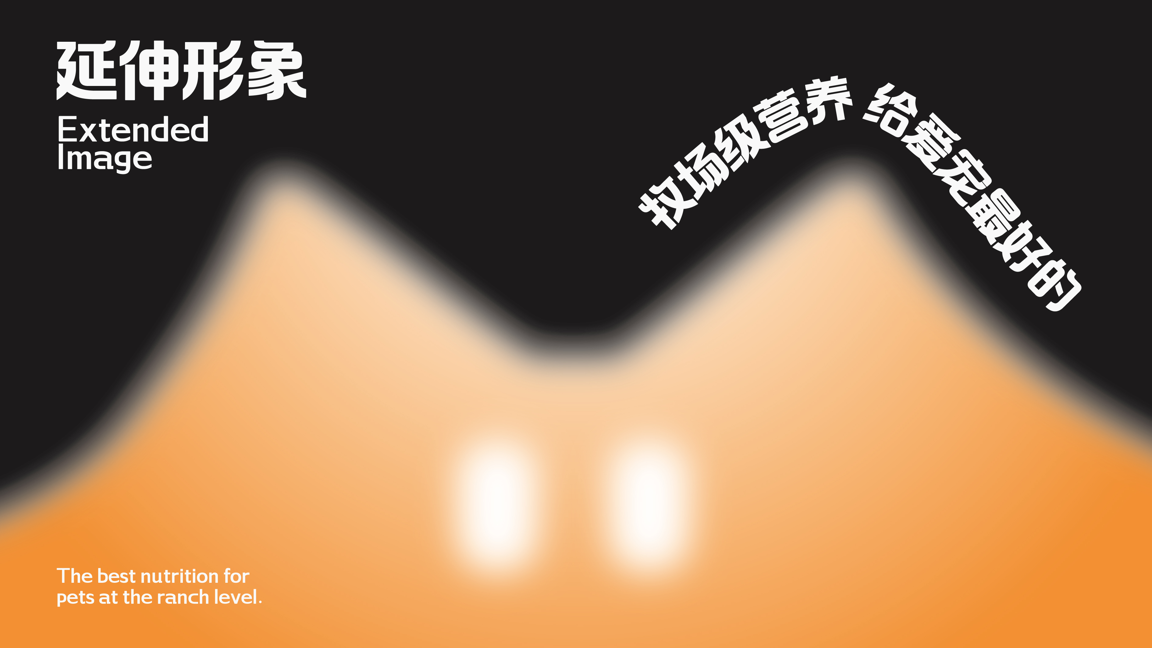 牧宠匠MUCOOJ丨宠物品牌全案形象包装设计_荒誕想象实验室-站酷ZCOOL