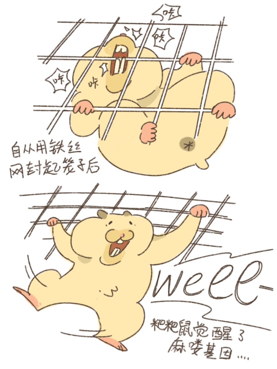 【鼠鼠日记】11-20_呱呱pei-站酷ZCOOL