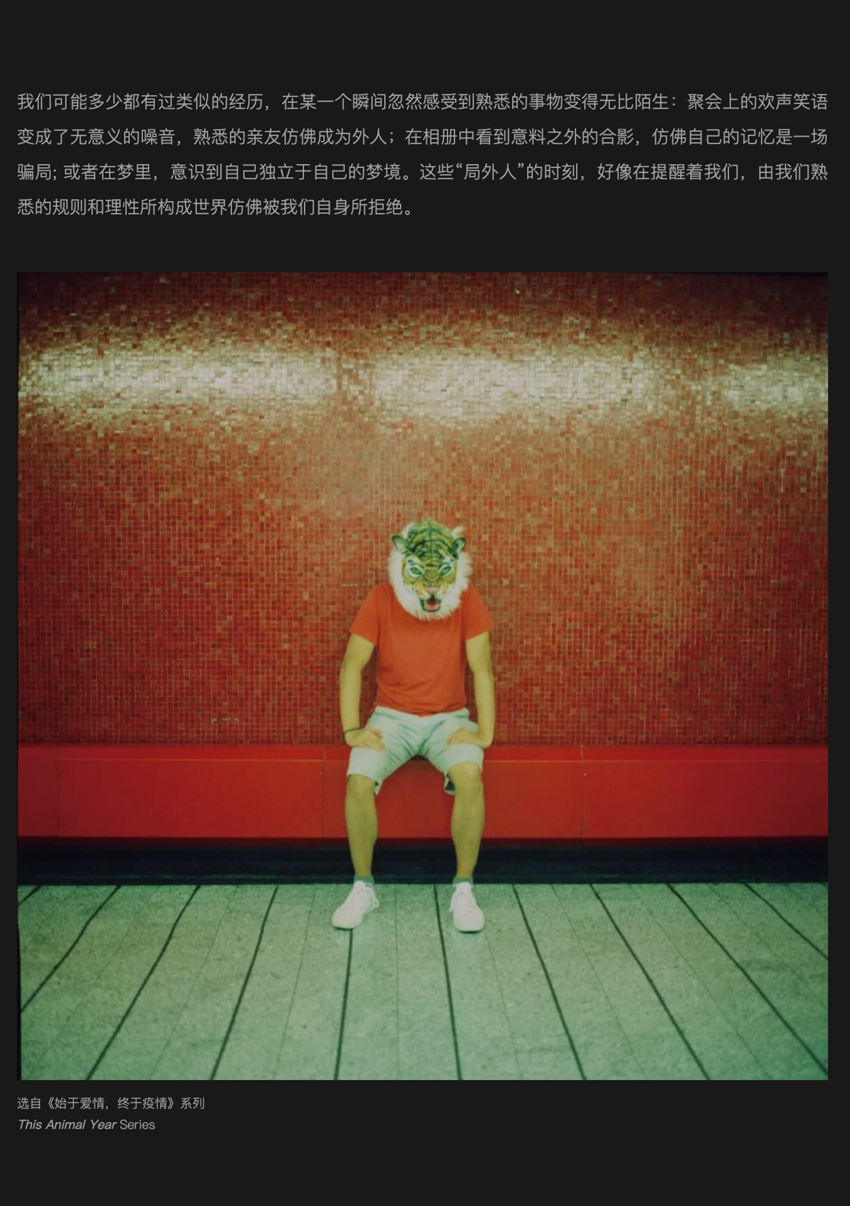 ZHUANG I 白川个展 - 虎的迷途 I 厦门_装视觉ZHUANG-站酷ZCOOL