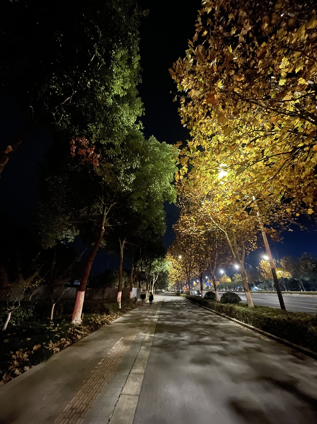 夜晚小路_霄漲灞沪-站酷ZCOOL