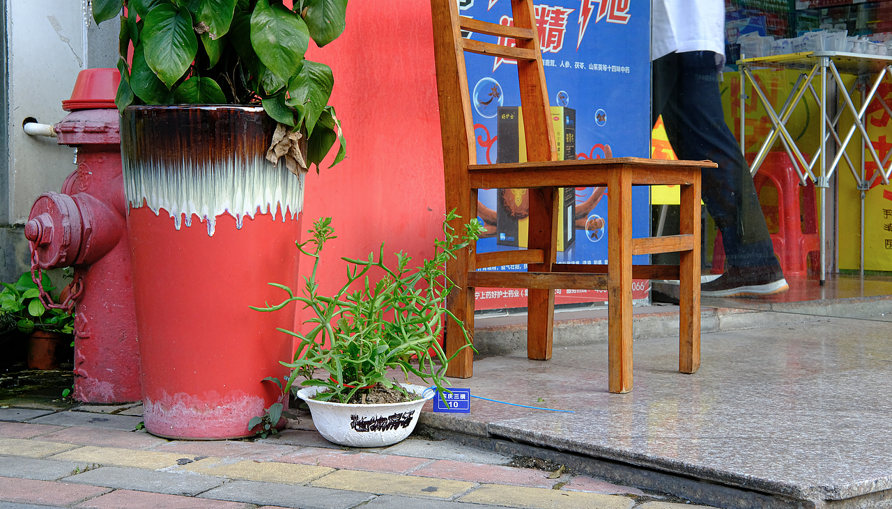 社区营造设计项目｜植物房客_3883號房客-站酷ZCOOL