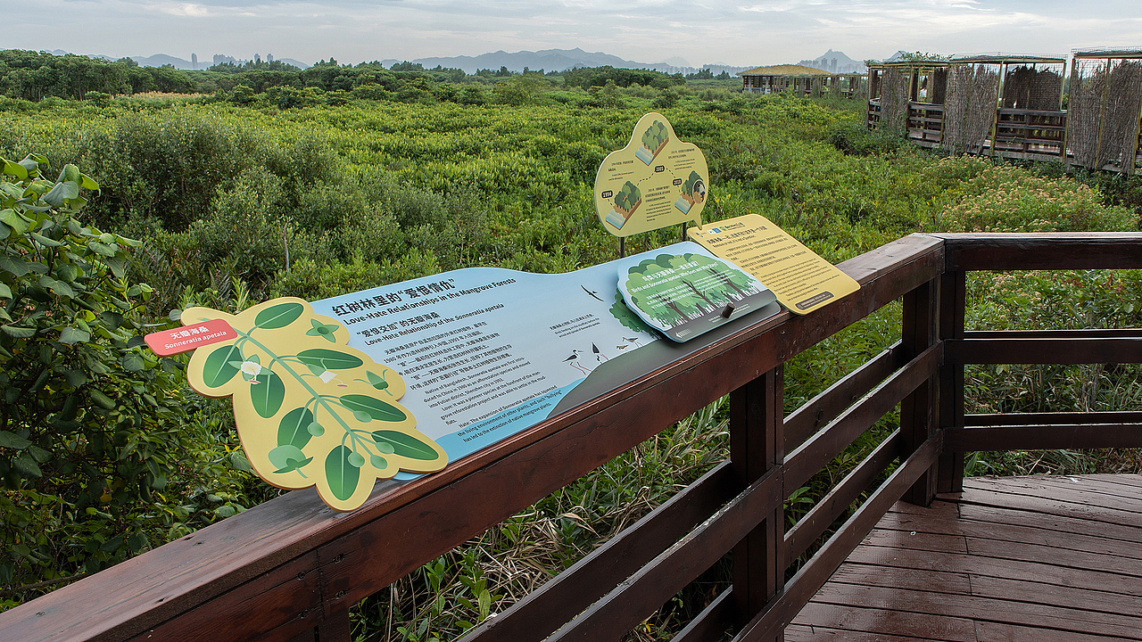 共生领域 | 深圳红树林生态公园户外科普互动导视设计_SYMBIOSISdesign-站酷ZCOOL