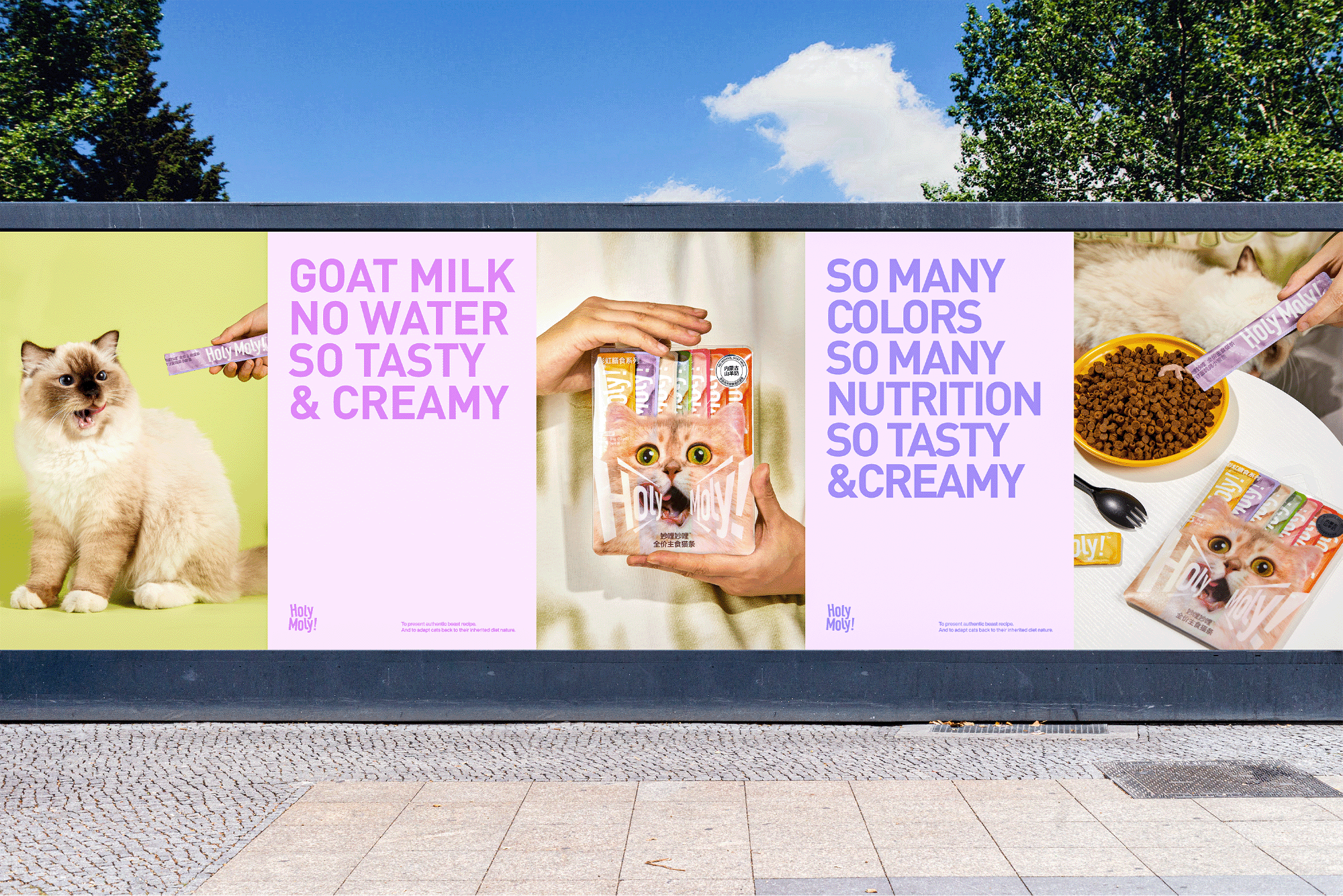 HOLYMOLY®宠物猫主食猫条 ｜ 宠物 猫 猫条 包装 品牌_DXD_studio-站酷ZCOOL