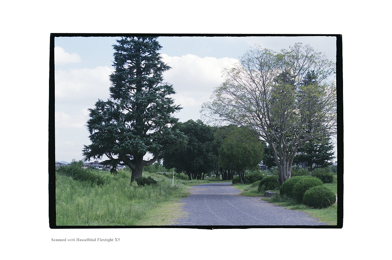 【胶片】休日散步 京都鸭川_付诗意PHOTO-站酷ZCOOL