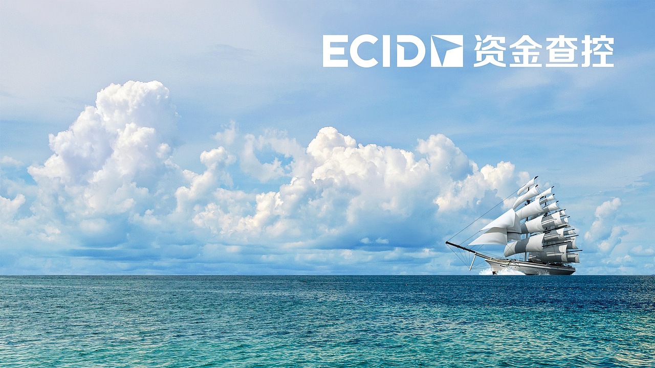 ECID资金查控 品牌形象_MAXCOMBO-站酷ZCOOL