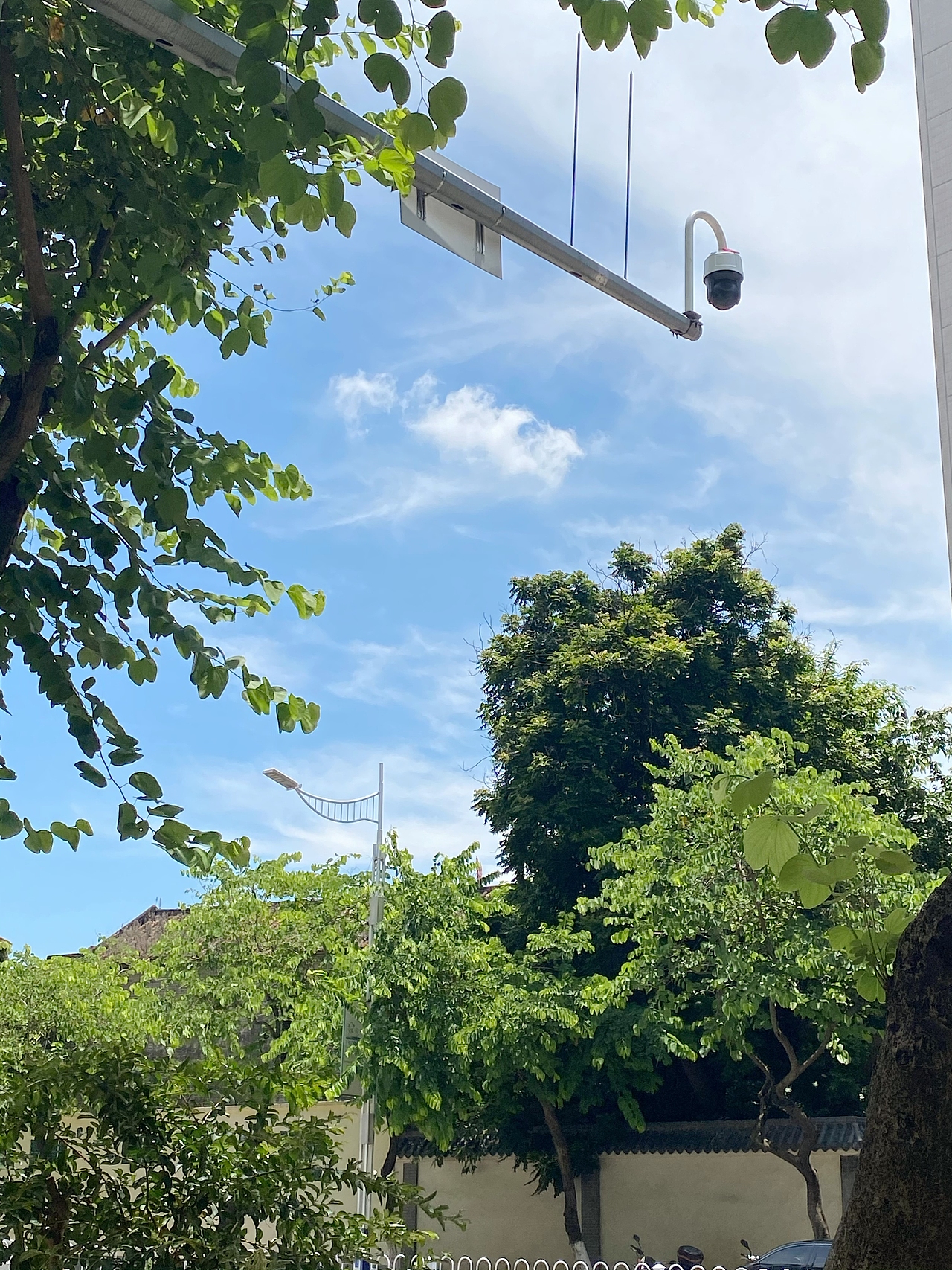 夏日_一粒芋圆vv-站酷ZCOOL