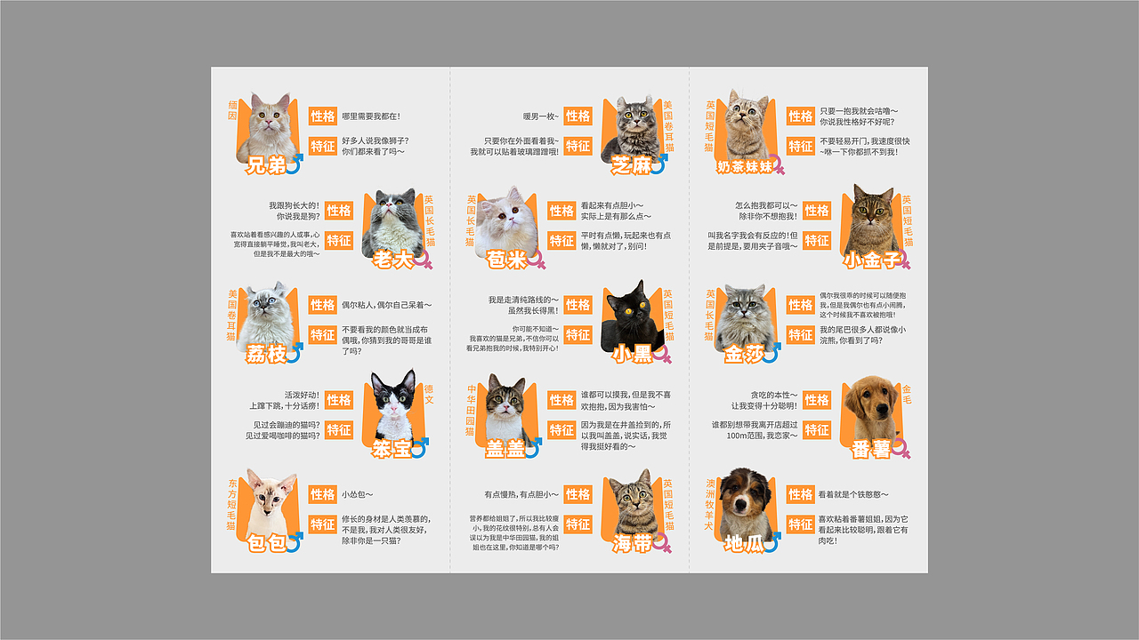 HEART ISLAND — 心岛宠物馆_草莓Eric-站酷ZCOOL