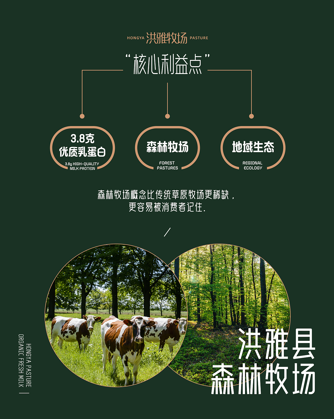 大鱼向上×新希望乳业 洪雅牧场高端有机奶_UBD大鱼向上-站酷ZCOOL