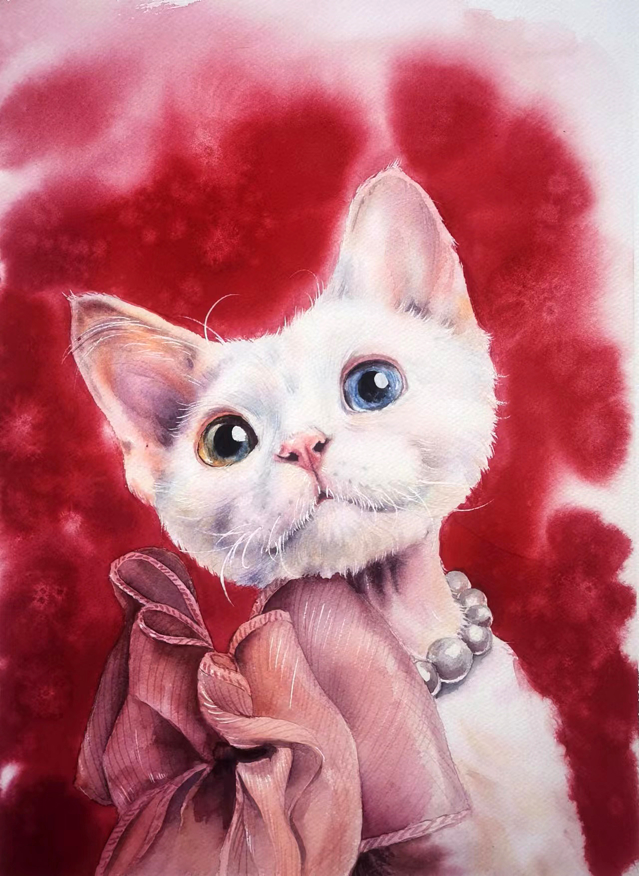 水彩猫咪_Flora图图麻麻-站酷ZCOOL