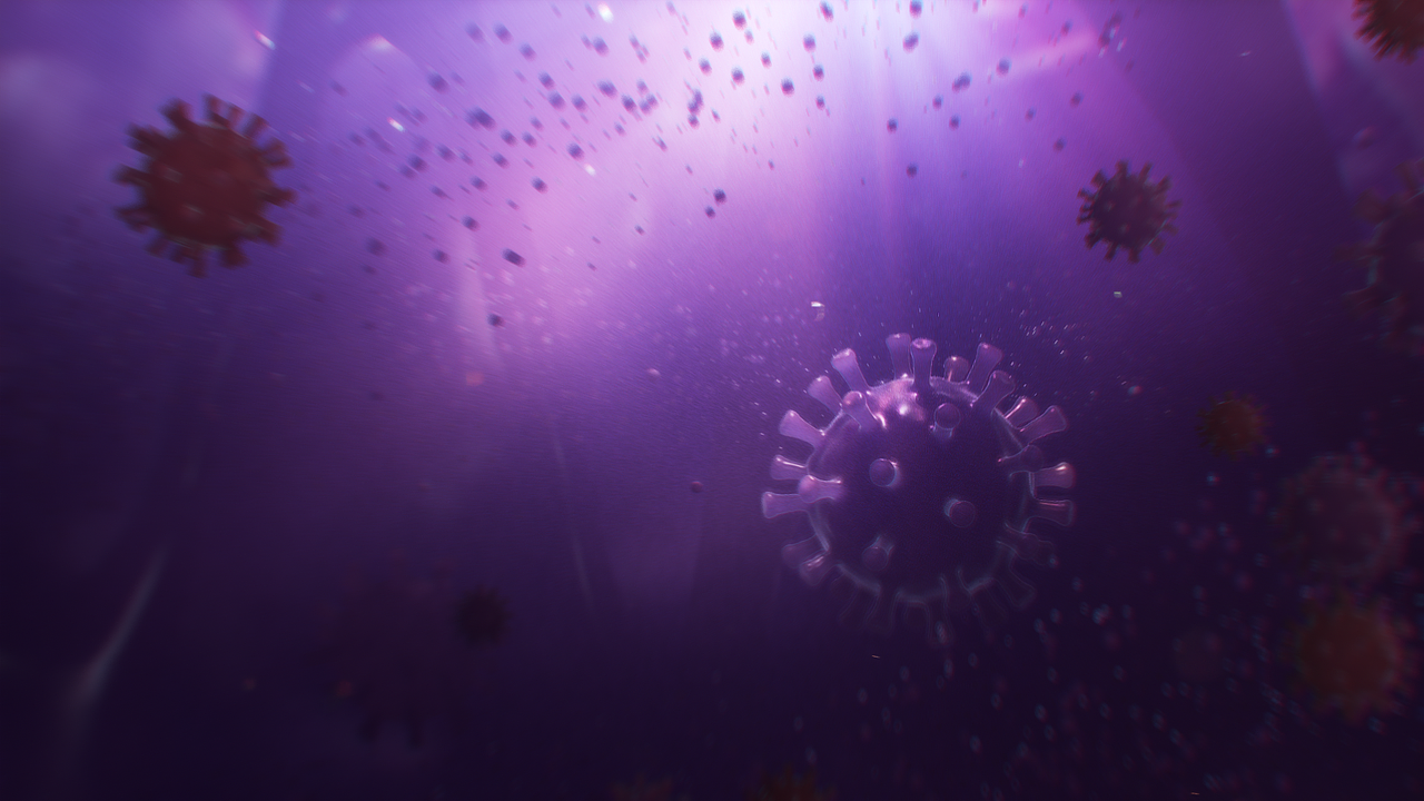 【2022年下半年】作品集_Carson_卡森-站酷ZCOOL