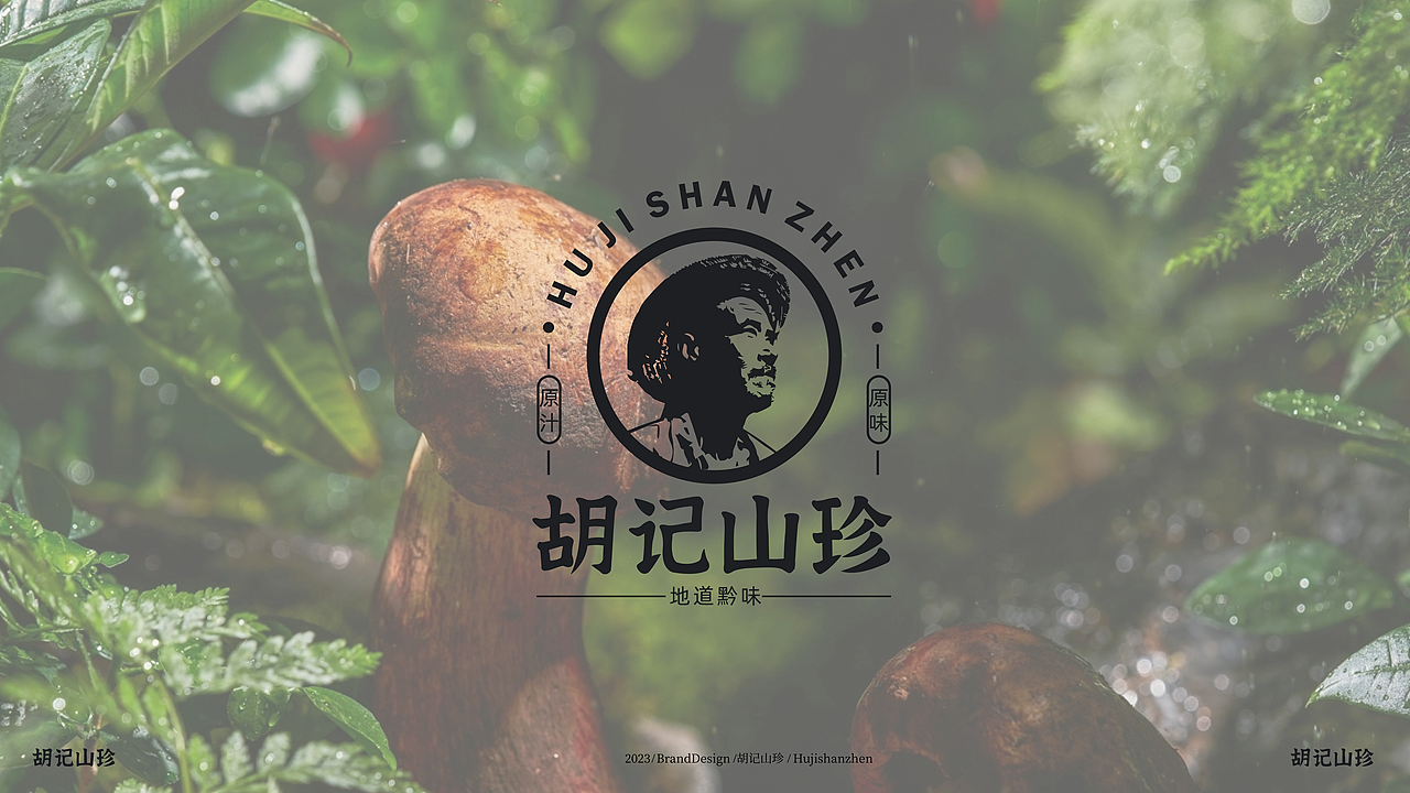 《胡记山珍》品牌提案【逐浪派对】_圆圆33-站酷ZCOOL