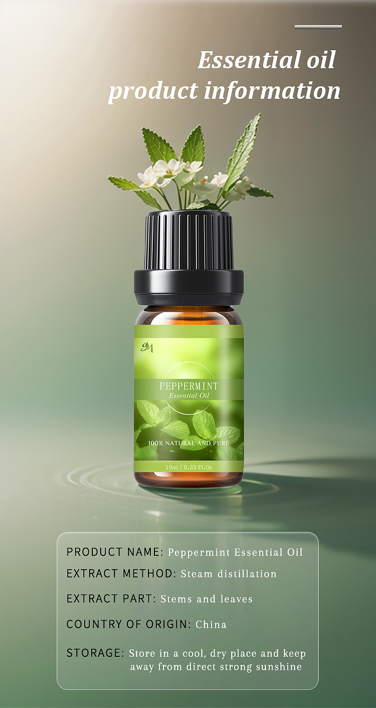 sd-1_随随x-站酷ZCOOL