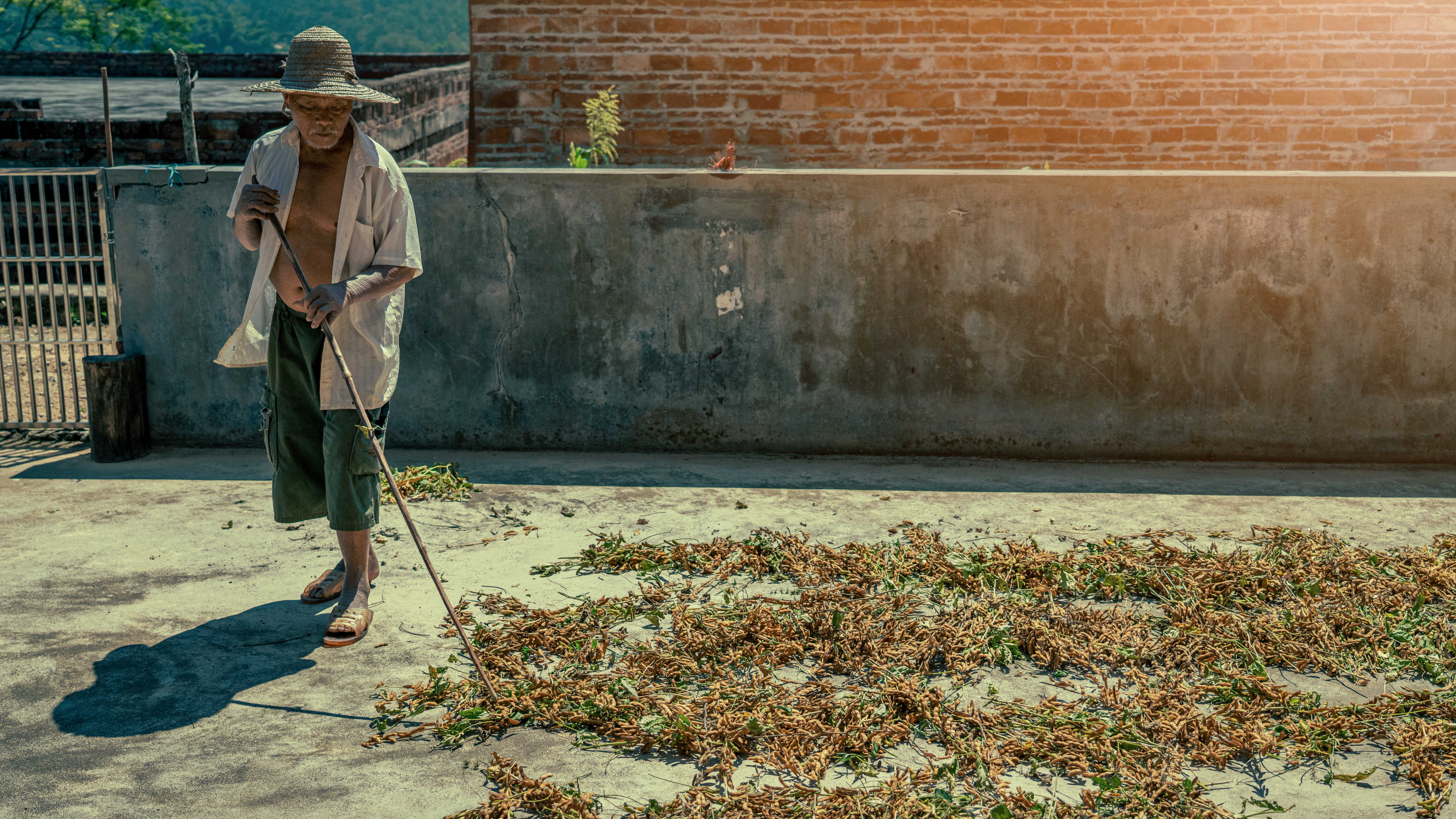 家乡_小鱼儿712-站酷ZCOOL