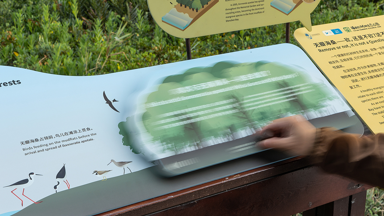 共生领域 | 深圳红树林生态公园户外科普互动导视设计_SYMBIOSISdesign-站酷ZCOOL