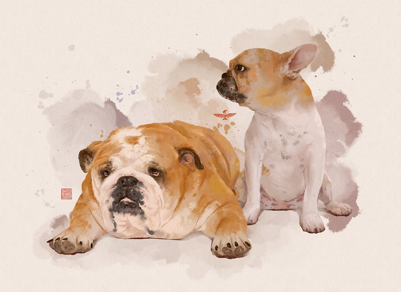 宠物画像_zane水彩-站酷ZCOOL