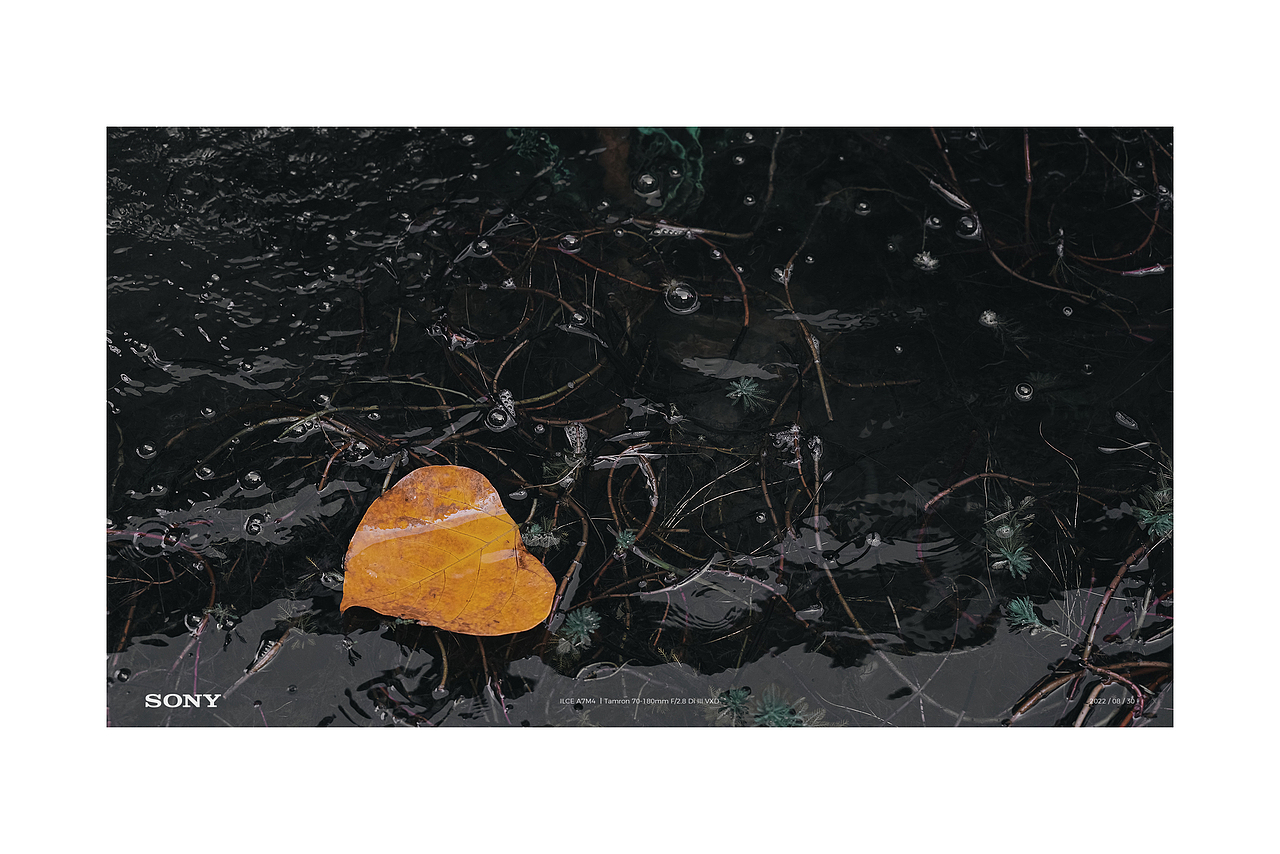 2022 Series丨风光大赏📷_Adi_阿迪-站酷ZCOOL