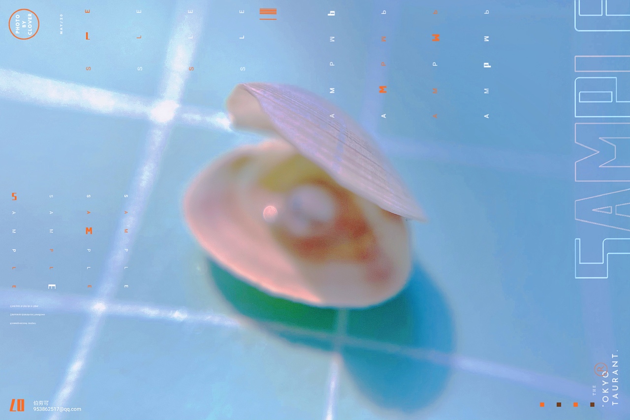 BLO｜火漆手工｜贝壳收藏家_伯劳可-站酷ZCOOL