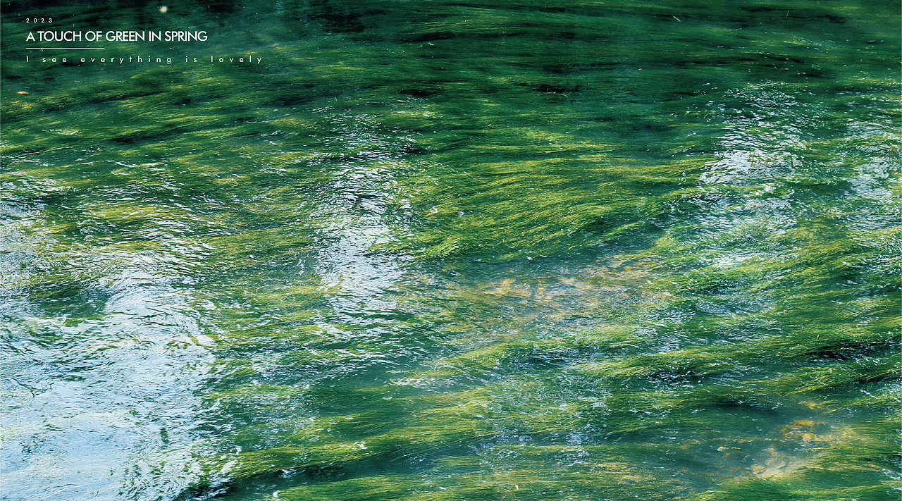 春日里的一抹绿_juvenile奶瓶-站酷ZCOOL