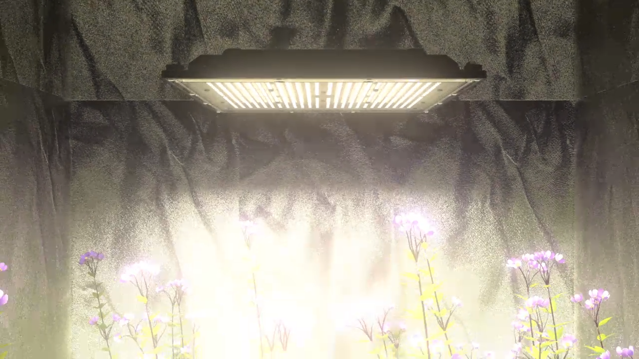 亚马逊植物灯产品三维视频_Tyler泰勒-站酷ZCOOL