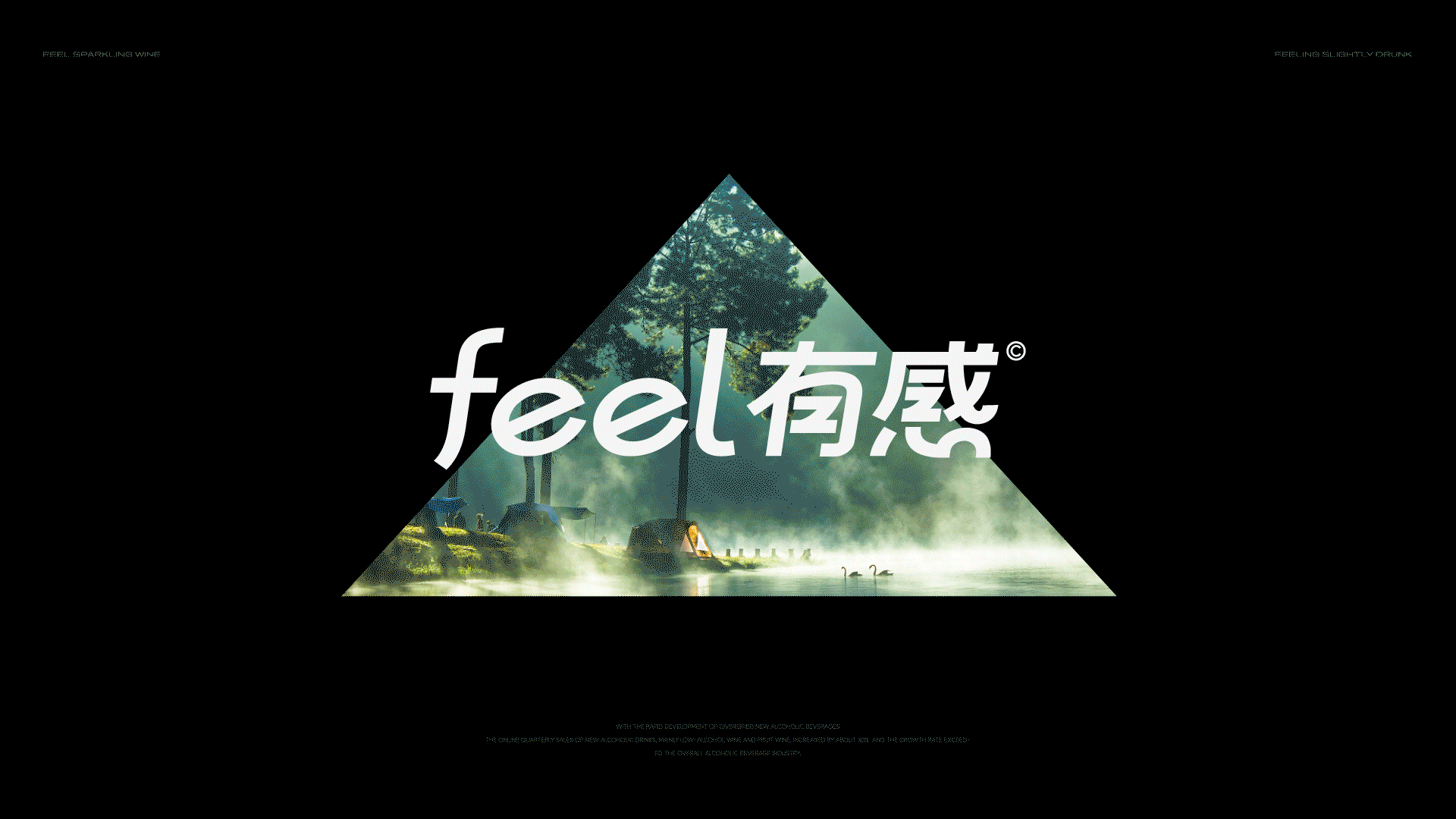 微醺有感 玩趣畅饮 | feel有感 | 气泡果酒品牌设计_笑笑Saner-站酷ZCOOL