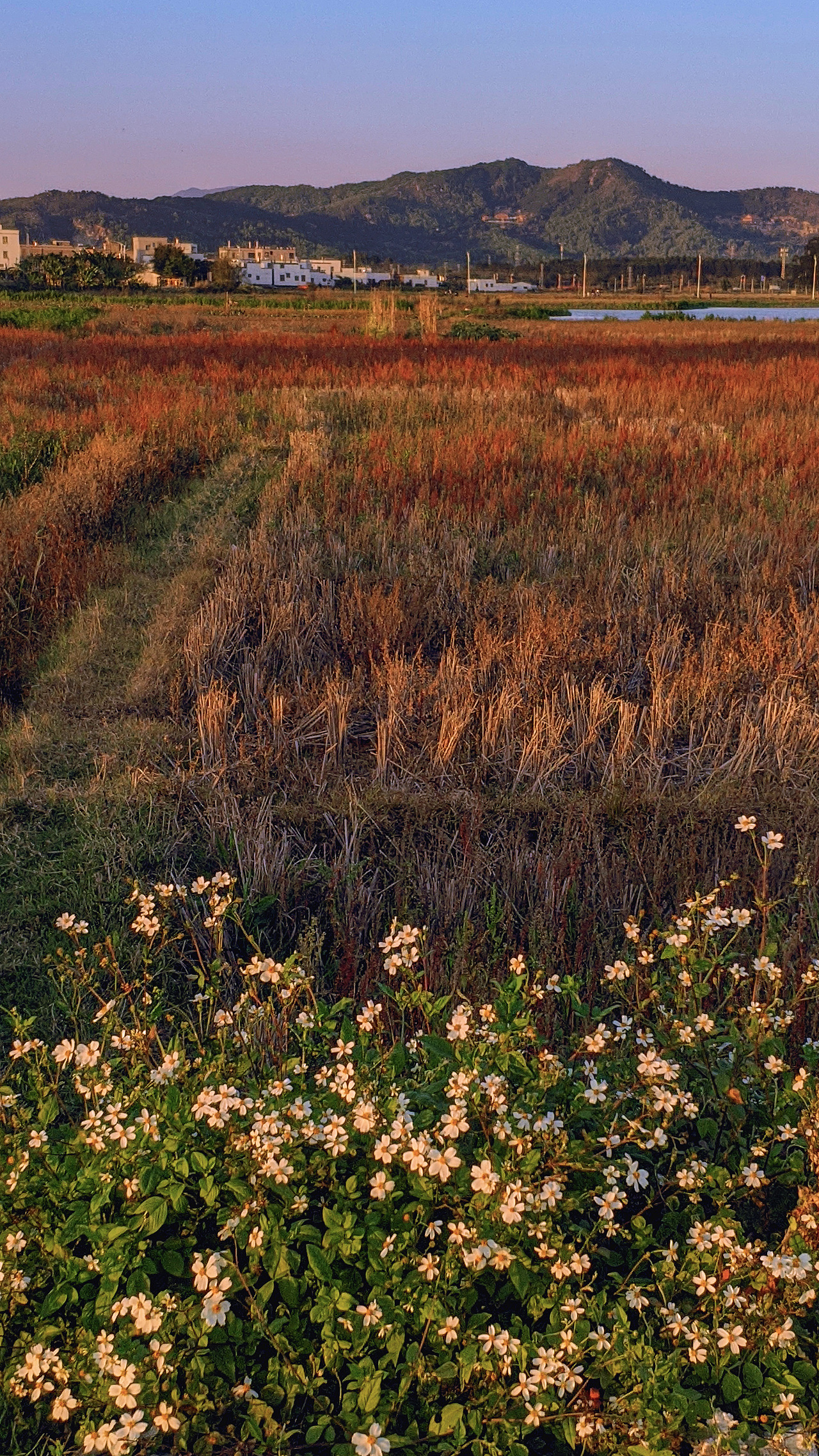 怀念的田野色彩_一LOSTAR一-站酷ZCOOL