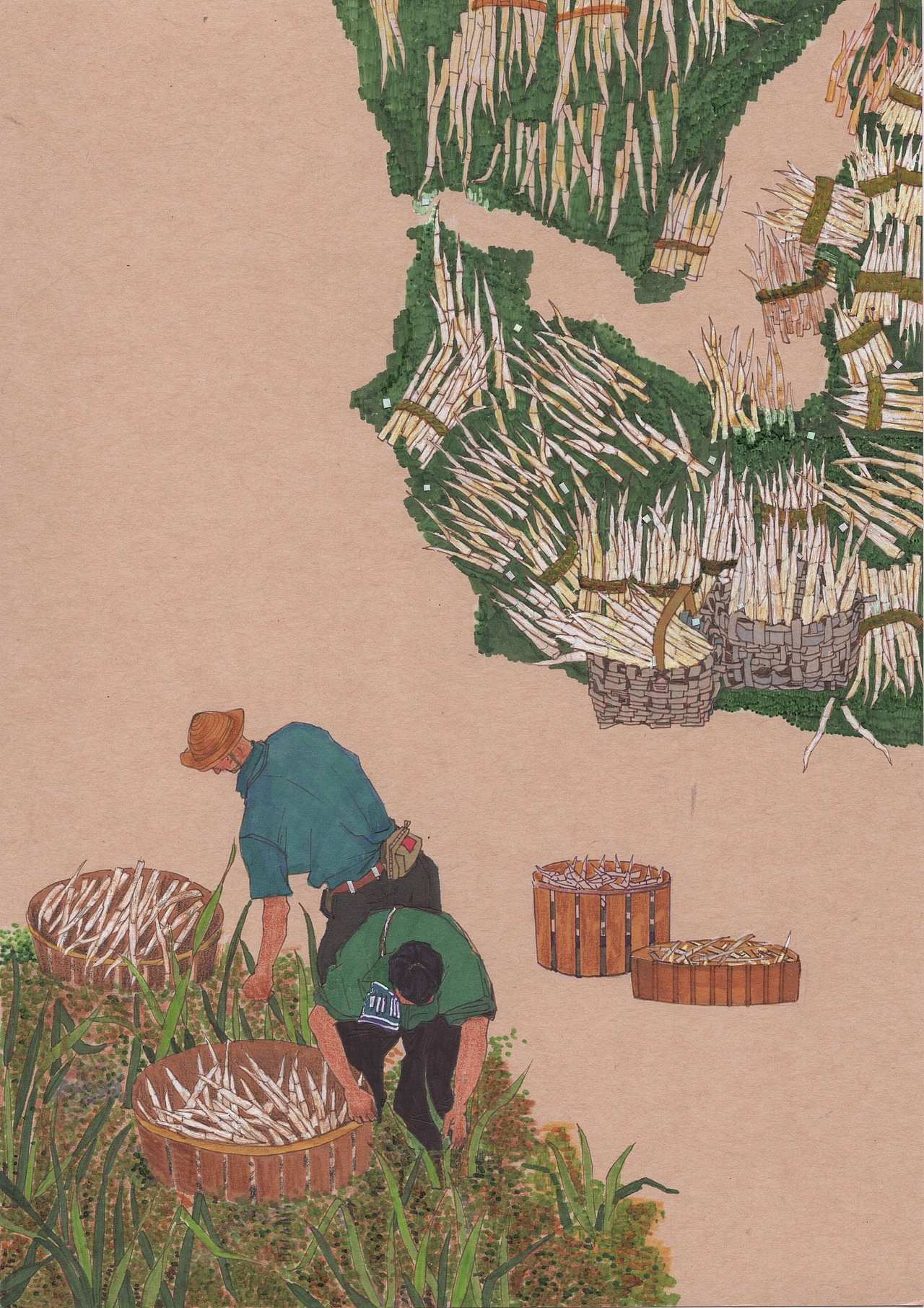 云南十八怪（二）_飘走-站酷ZCOOL