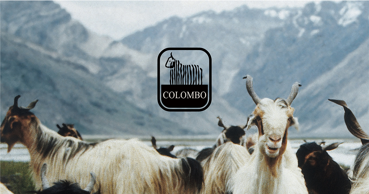UBD出品｜为奢侈品牌COLOMBO构建中国市场的品牌系统_OUOBOD-站酷ZCOOL