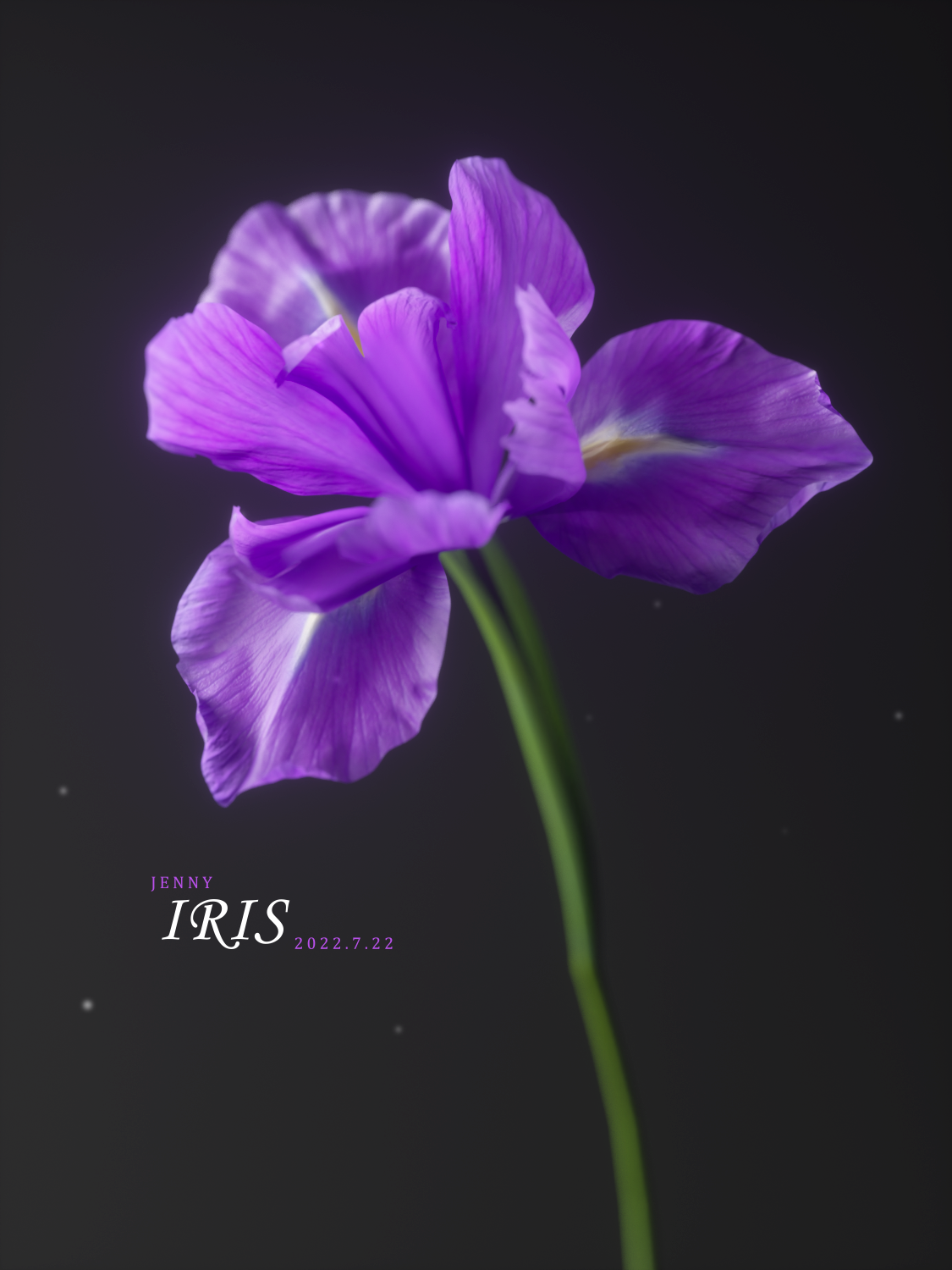 花开_JennyQwQ-站酷ZCOOL