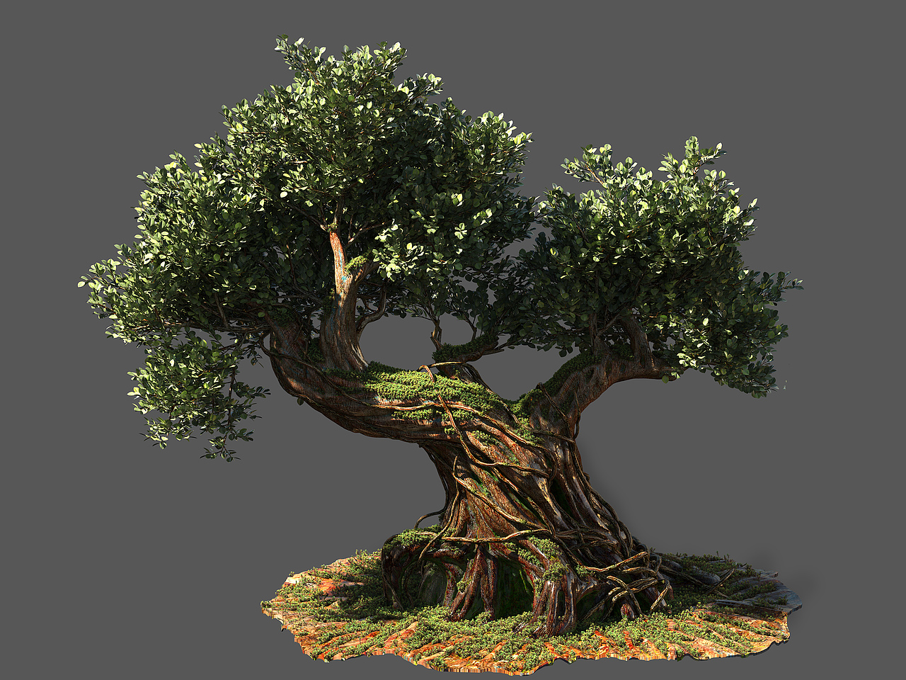 影视级古树_灵眸Positive-站酷ZCOOL