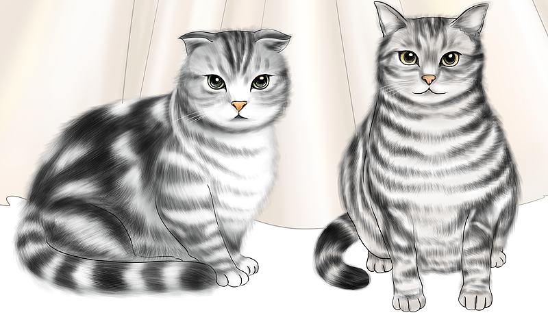 画结婚照_Tony怀业-站酷ZCOOL