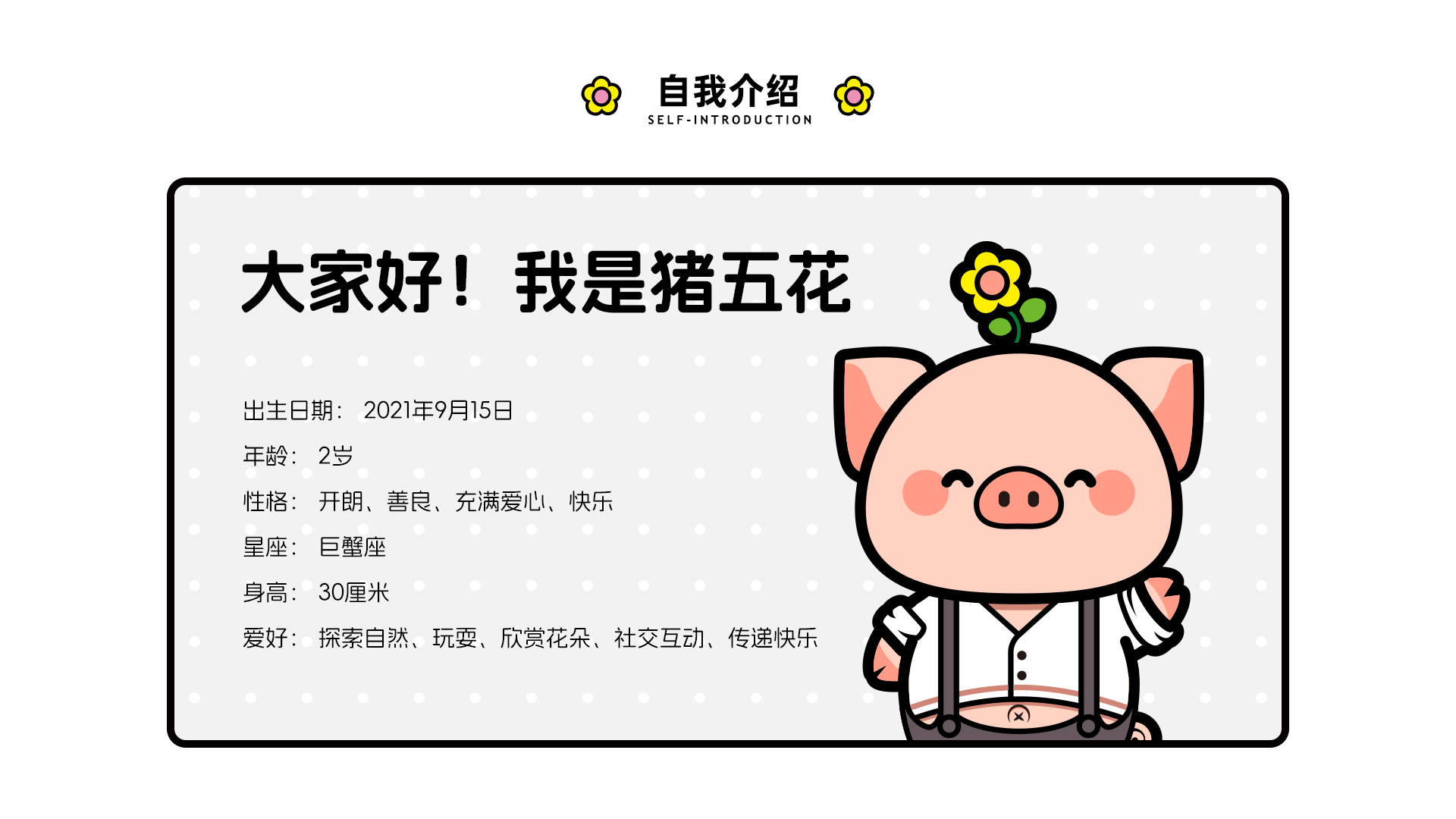 卡通形象IP设计-猪五花_Nell妞吖-站酷ZCOOL