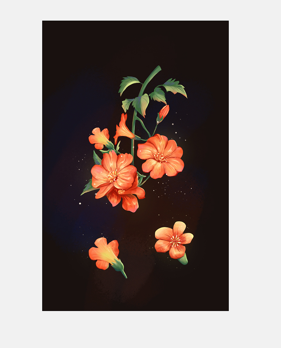 凌霄花_波妞爱吃嘎嘎-站酷ZCOOL