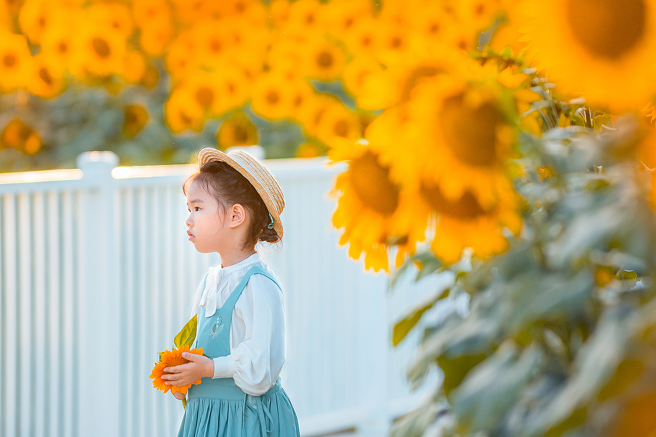 向日葵的花香是橡皮擦的味道_翩翩_peng-站酷ZCOOL