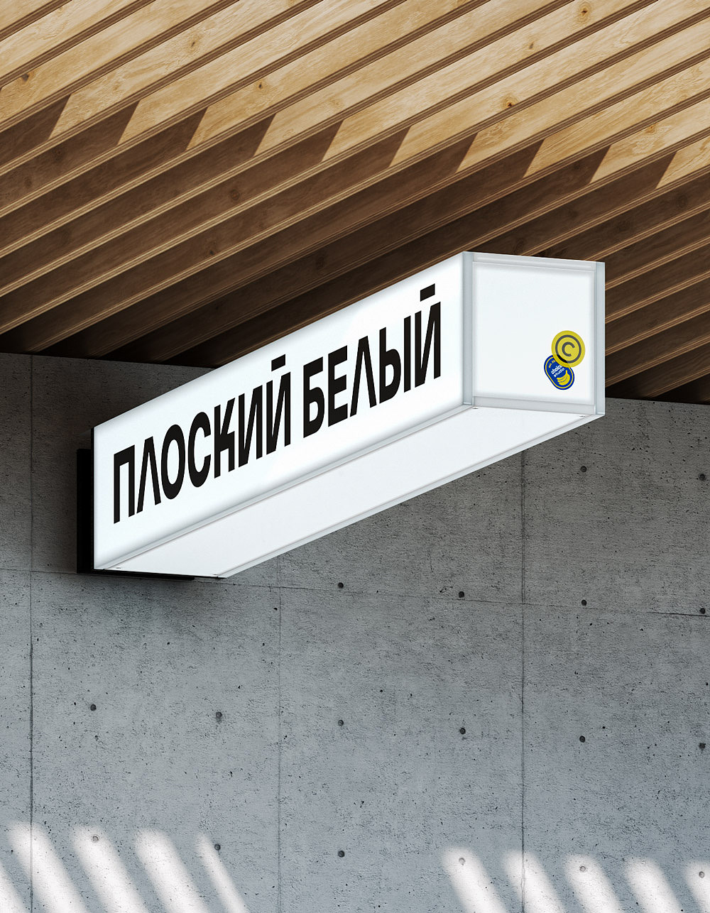 设计分享/ Ploskiy Beley_BranD杂志-站酷ZCOOL