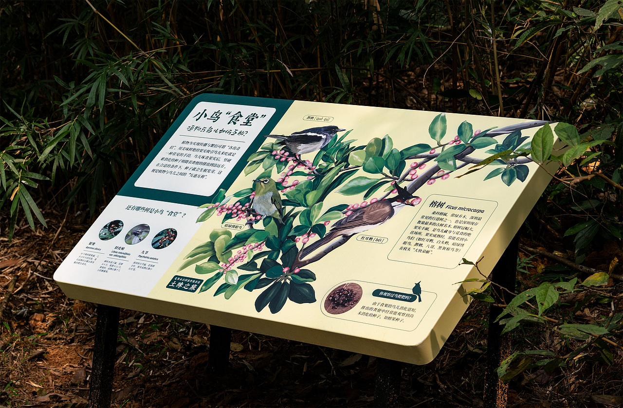 深圳笔架山公园自然教育径--解说牌_进退设计-站酷ZCOOL