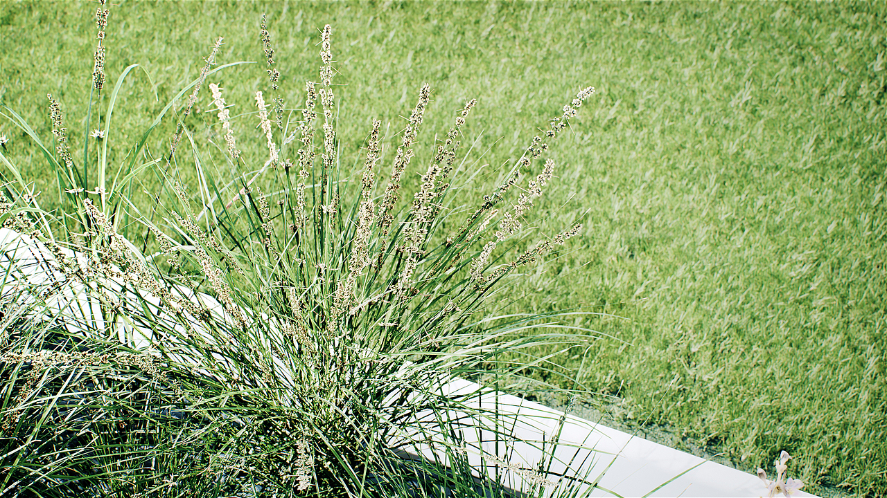 unreal5渲染——《dream》_CGI_工匠-站酷ZCOOL