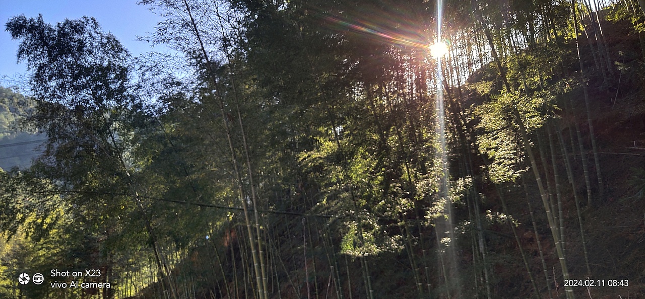 森林人家II-枝叶被光彩_ZBin2009-站酷ZCOOL