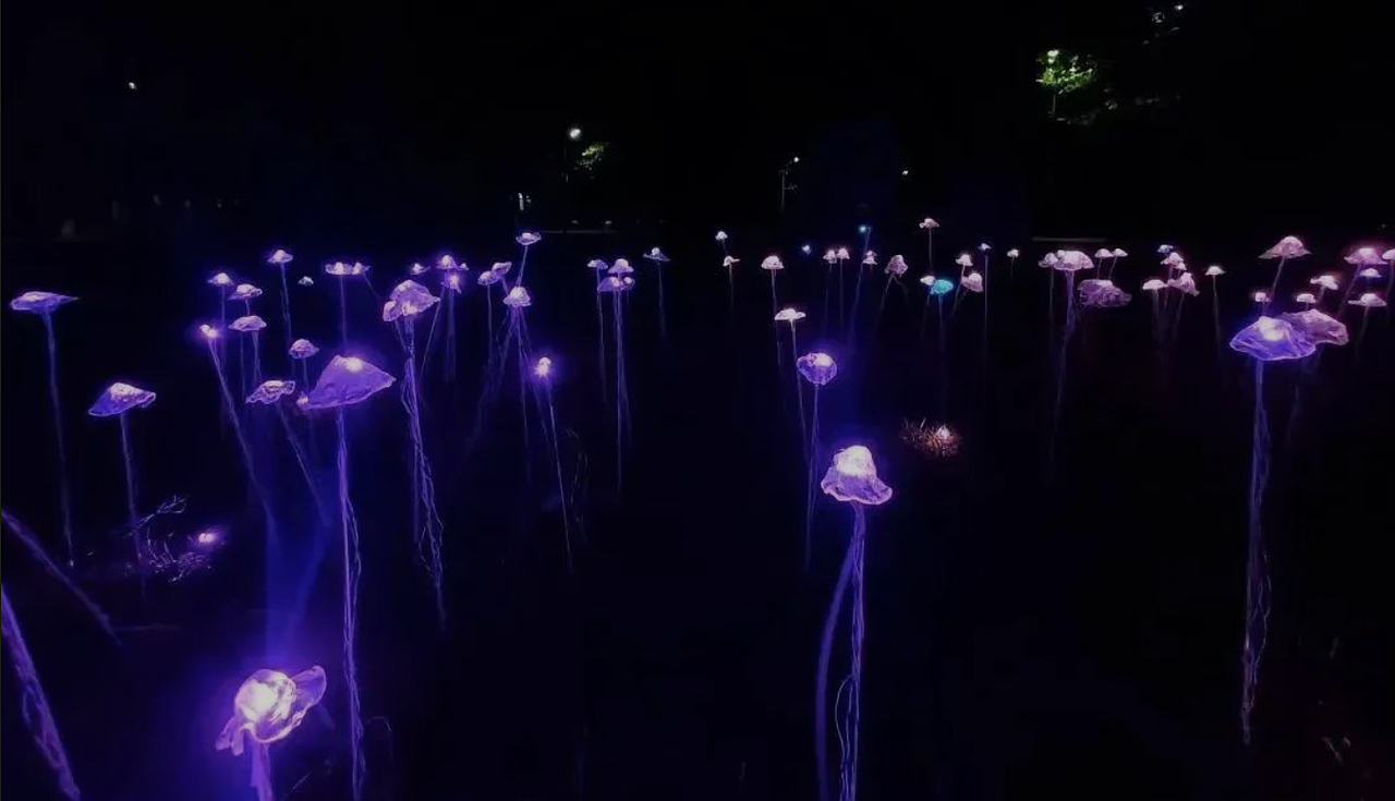 #2023 青春答卷#《IF YOU ASK ME》_2023传播设计系-站酷ZCOOL