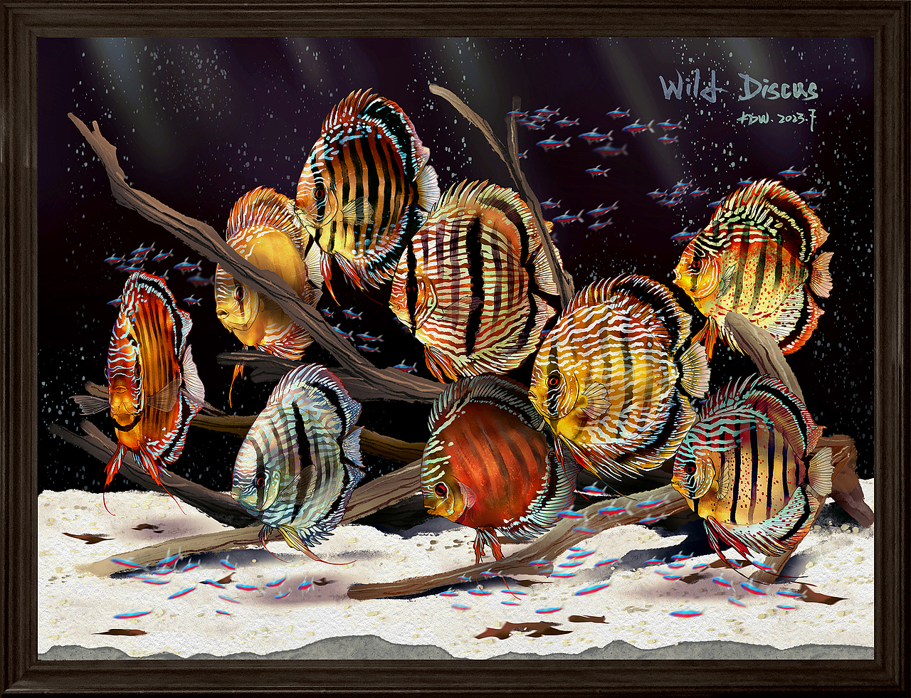 【KDW工作室】水族观赏鱼装饰画_KDW_J-站酷ZCOOL