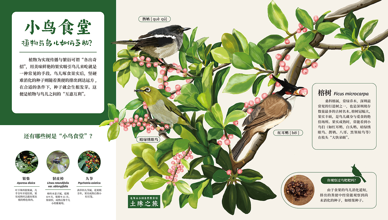 深圳笔架山公园自然教育径--解说牌_进退设计-站酷ZCOOL