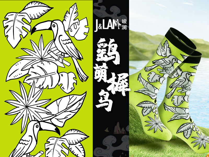 袜子设计|原创运动潮袜--鹞萌樨鸟_JLAN峻澜-站酷ZCOOL