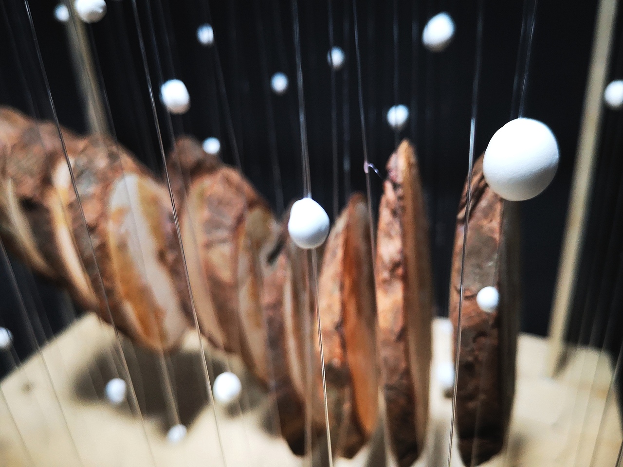 Wildfire - 以澳洲山火为灵感的交互艺术装置_小也_Moye-站酷ZCOOL