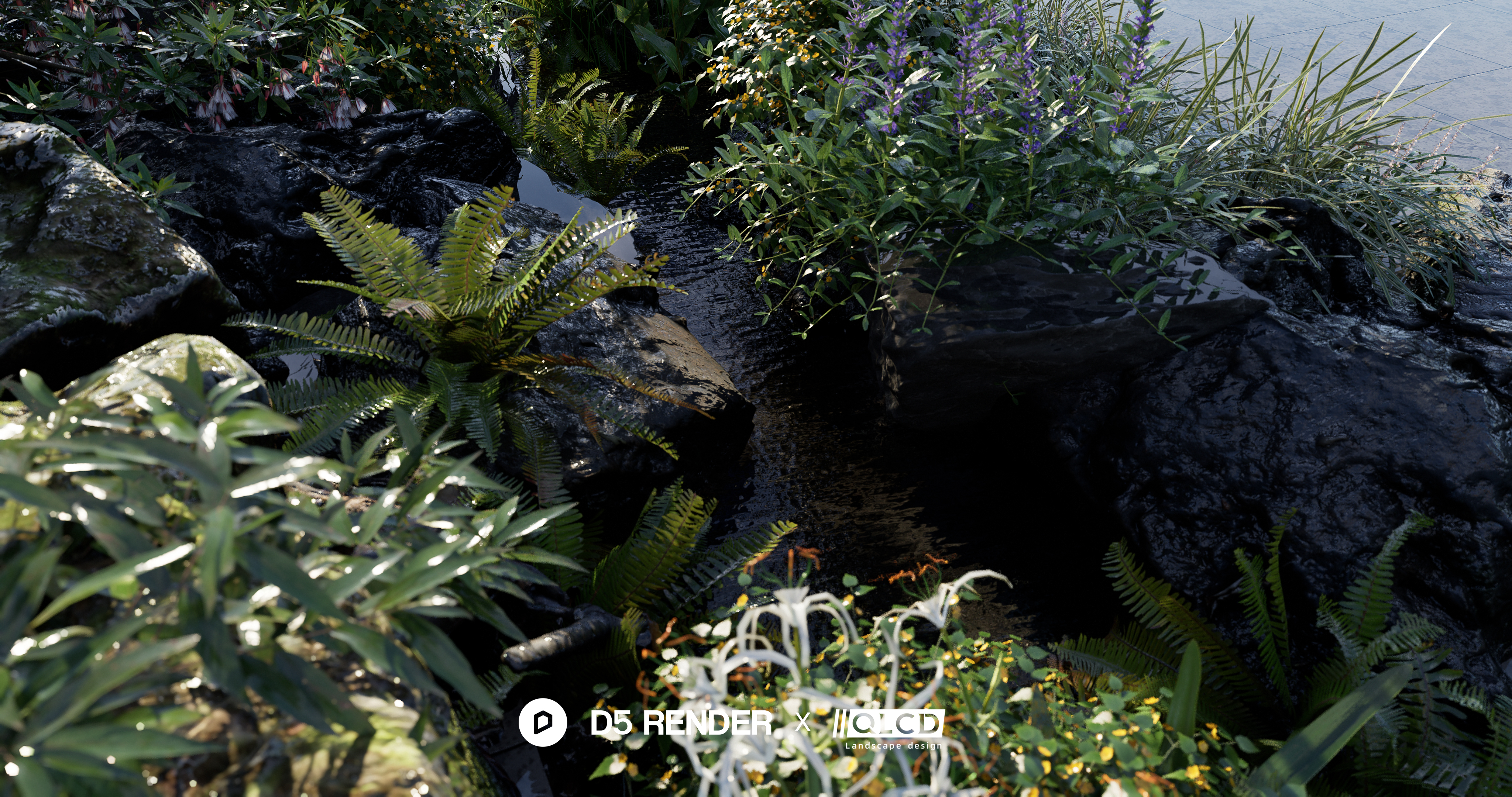 D5渲染器-水生植物表现_景观设计_QLCD-站酷ZCOOL