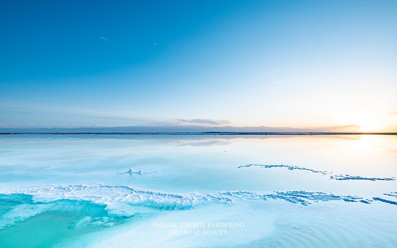 HongDa丨Brand_人可_-站酷ZCOOL