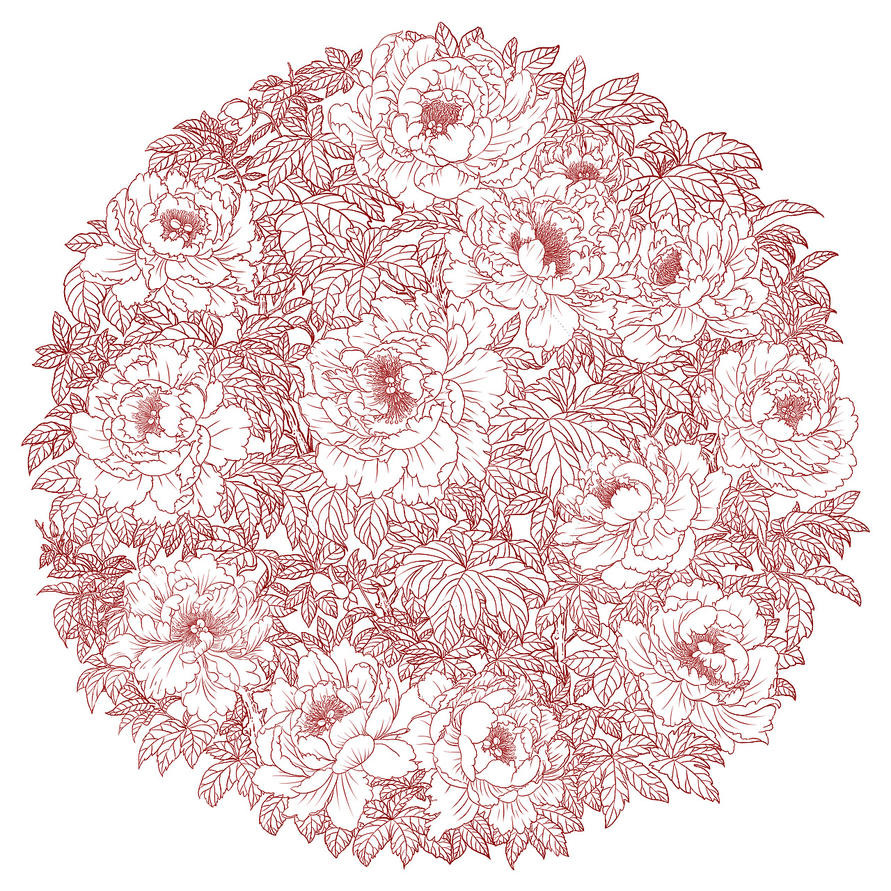 插画包装【春天三月Ty】_桔子7777-站酷ZCOOL