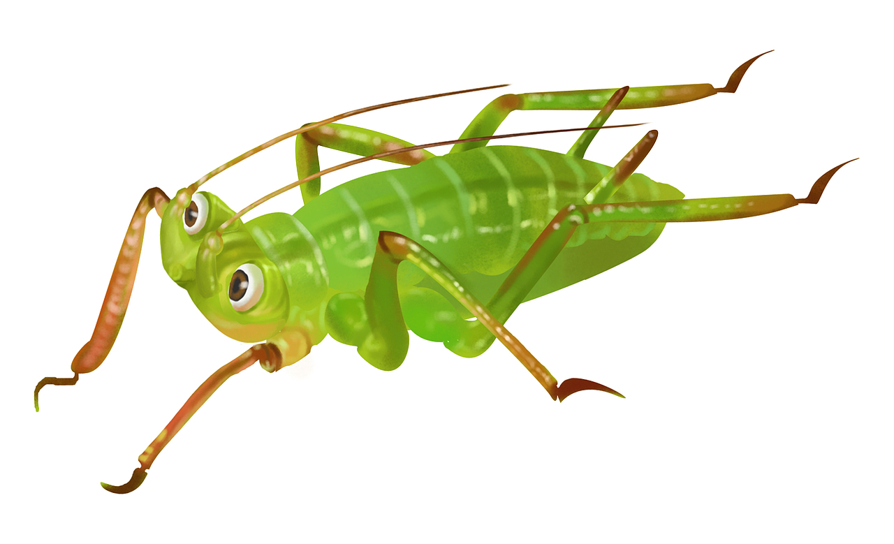 客家文化主题动画道具NPC概念设计_JTEagle-站酷ZCOOL