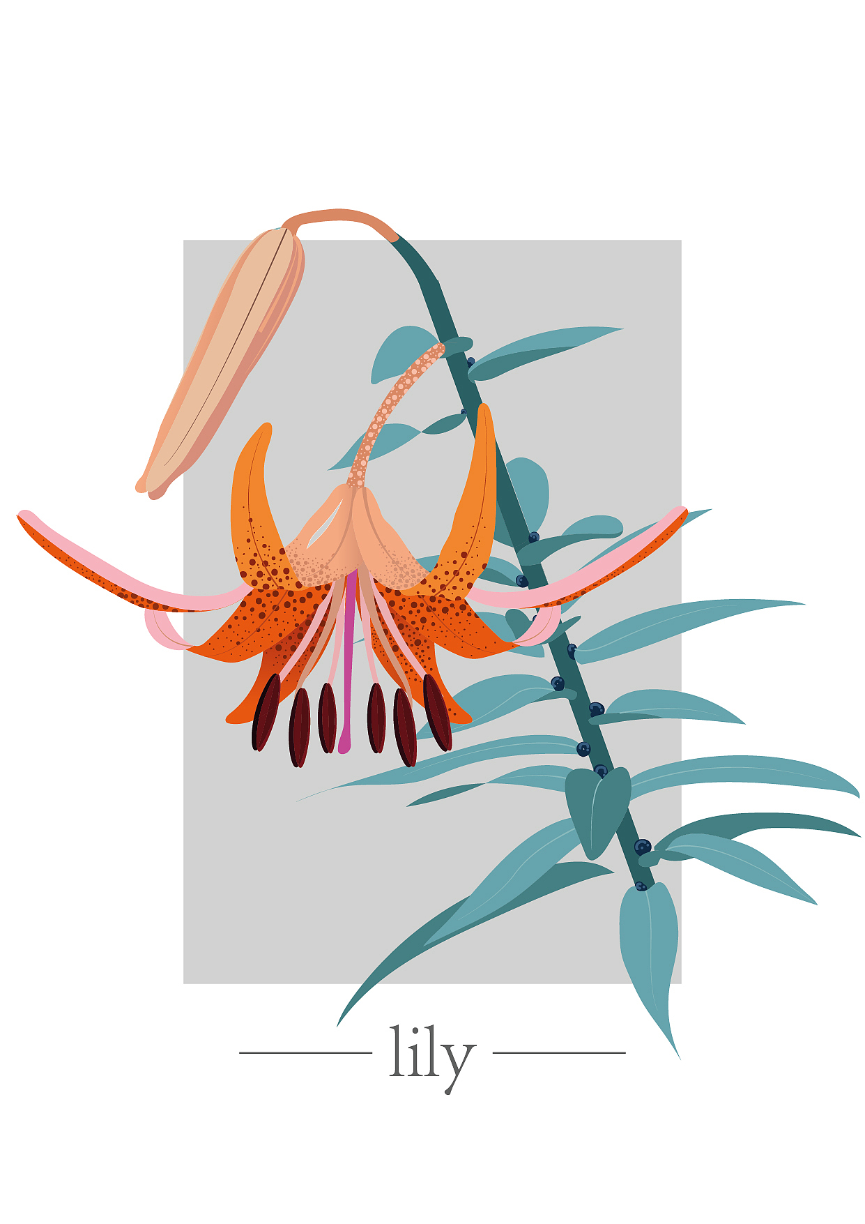 山丹丹花_懒猫先生popo-站酷ZCOOL