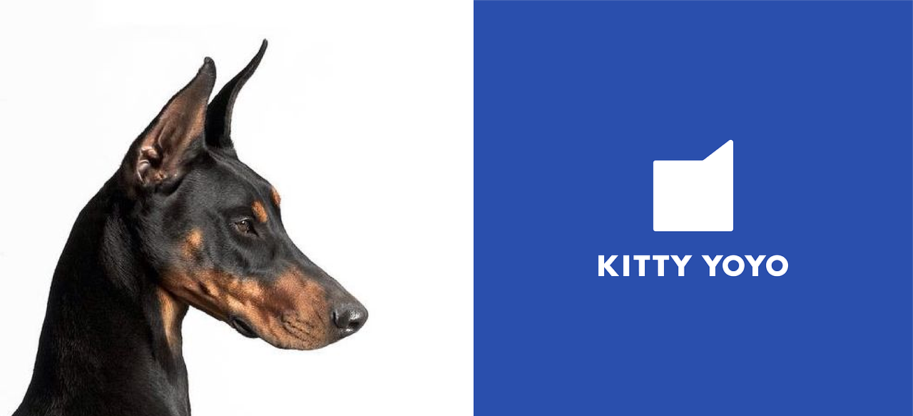 KITTY YOYO 丨宠物品牌设计_歪掉的大门牙-站酷ZCOOL