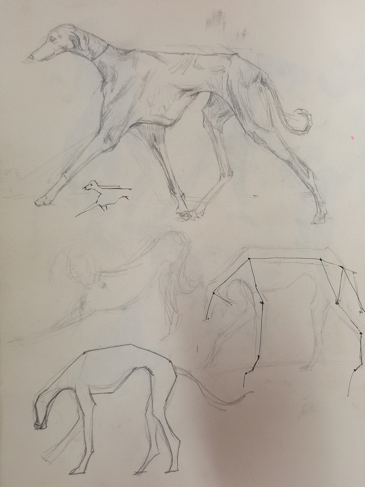 雕塑-细犬_PMYZOOO-站酷ZCOOL