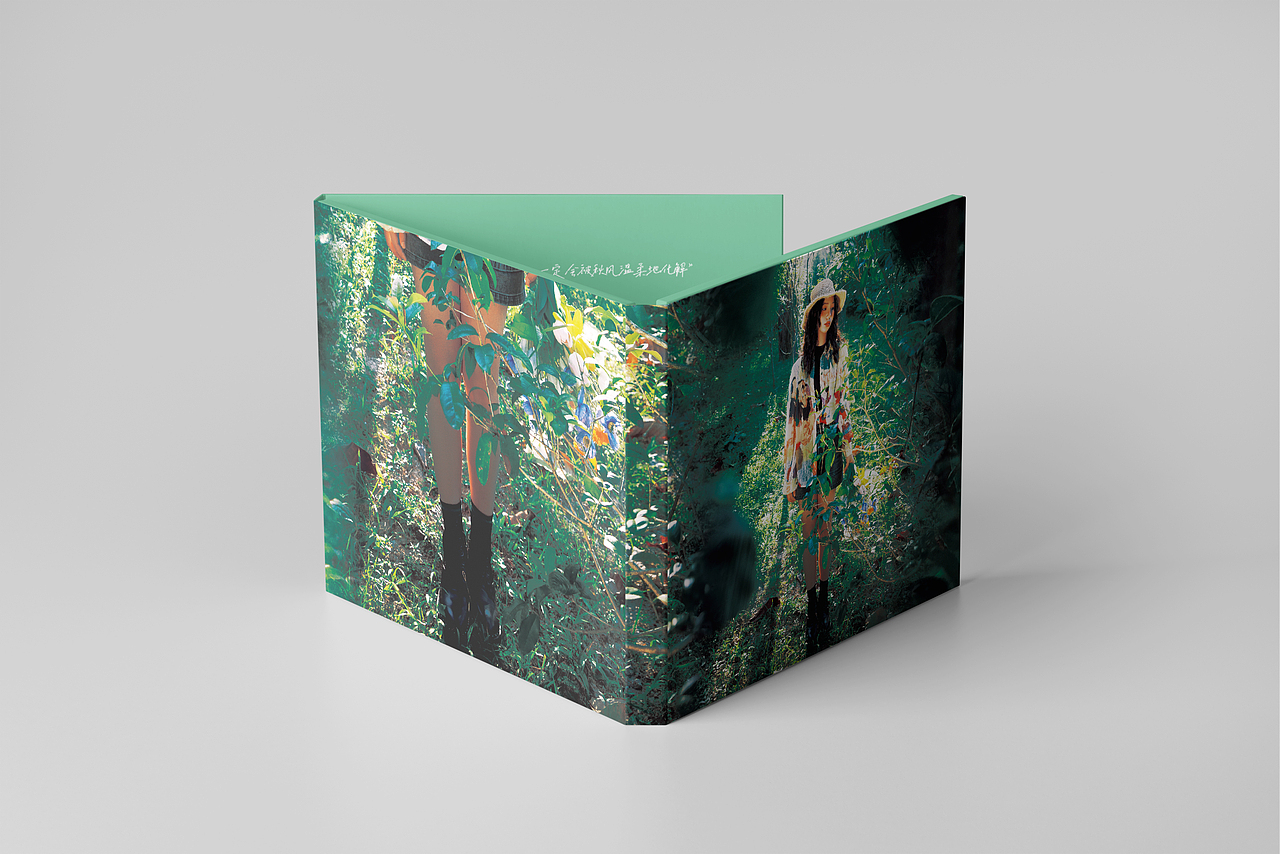 《宣言》Vicky宣宣实体专辑设计_RayraySu-站酷ZCOOL